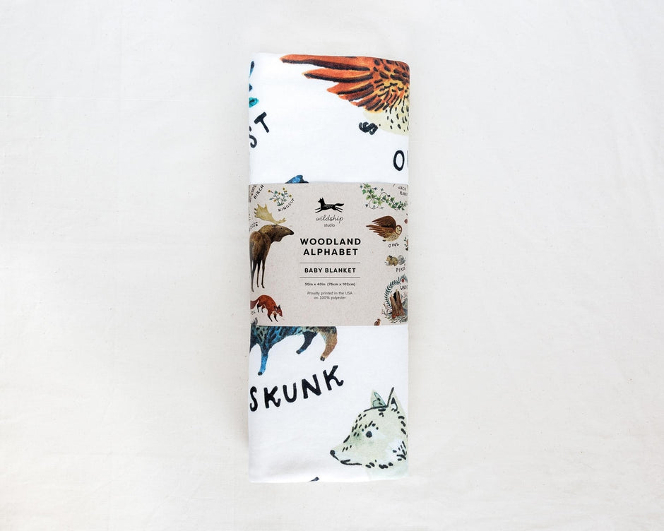 Home – Wildship Studio